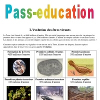 Evolution des premiers êtres vivants - Exercices - Sciences : Primaire ...