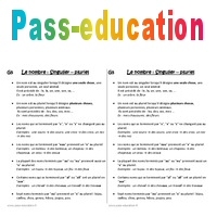 Singulier - Pluriel - Le nombre - Cours, Leçon : Primaire 2 - PDF à ...