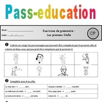 Pronoms il - elle - Exercices - Grammaire : Primaire 1 - PDF à imprimer