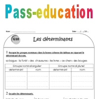 le, la, les, un, une, des - Exercices sur les déterminants : Primaire 2 ...