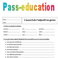 Accord de l'adjectif en genre - Exercices corrigés : Primaire 6 - PDF à ...