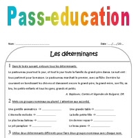 Déterminants - Exercices avec correction : Primaire 3 - PDF à imprimer