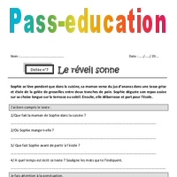 Valeurs de la lettre s - Dictée accompagnée n°7 : Primaire 3 - PDF à ...