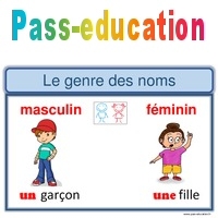Genre et nombre - Affiche pour la classe : Primaire 2, 3 - PDF à imprimer