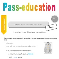Identifier et reconnaitre les lettres finales muettes - Cours, Leçon ...