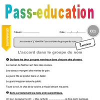 Accord dans le groupe du nom - Exercices : Primaire 2 - PDF à imprimer
