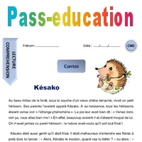 Késako - Lecture compréhension - Contes : Primaire 5 - PDF à imprimer