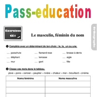 Le féminin, masculin des noms - Exercices, révisions : Primaire 2 - PDF ...