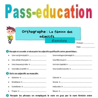 Le féminin des adjectifs - Exercices d'orthographe : Primaire 4 - PDF à ...