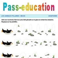 La plus belle glissade des manchots - Animaux polaires - Graphisme ...
