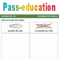 Les insectes - Discrimination visuelle : Maternelle 2 - Cycle 1 - PDF à ...