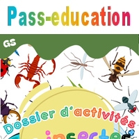 Les insectes - Dossier d'activités : Maternelle 2 - PDF à imprimer