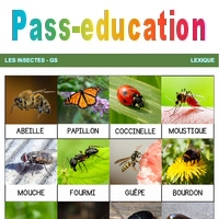 Les insectes - Vocabulaire : Maternelle 2 - PDF à imprimer