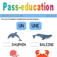 Animaux de la mer - Grammaire : Maternelle 1, 2 - PDF à imprimer